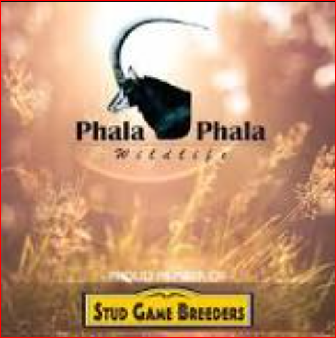Phala Phala, Game Farm | South African History Online
